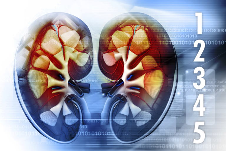 What Is Kidney Disease?